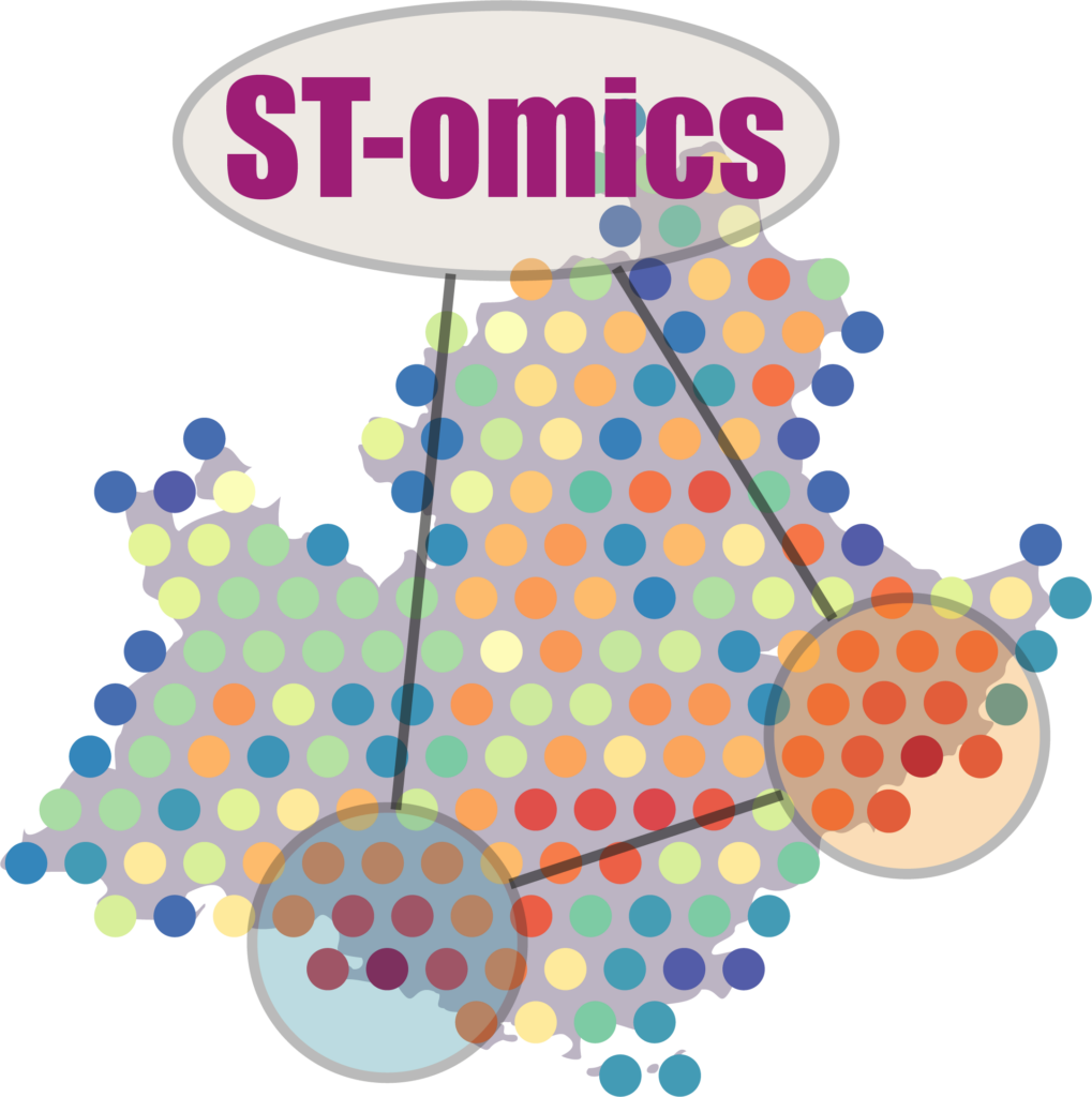 ST-omics : L’Action Structurante dédiée à la Transcriptomique Spatiale